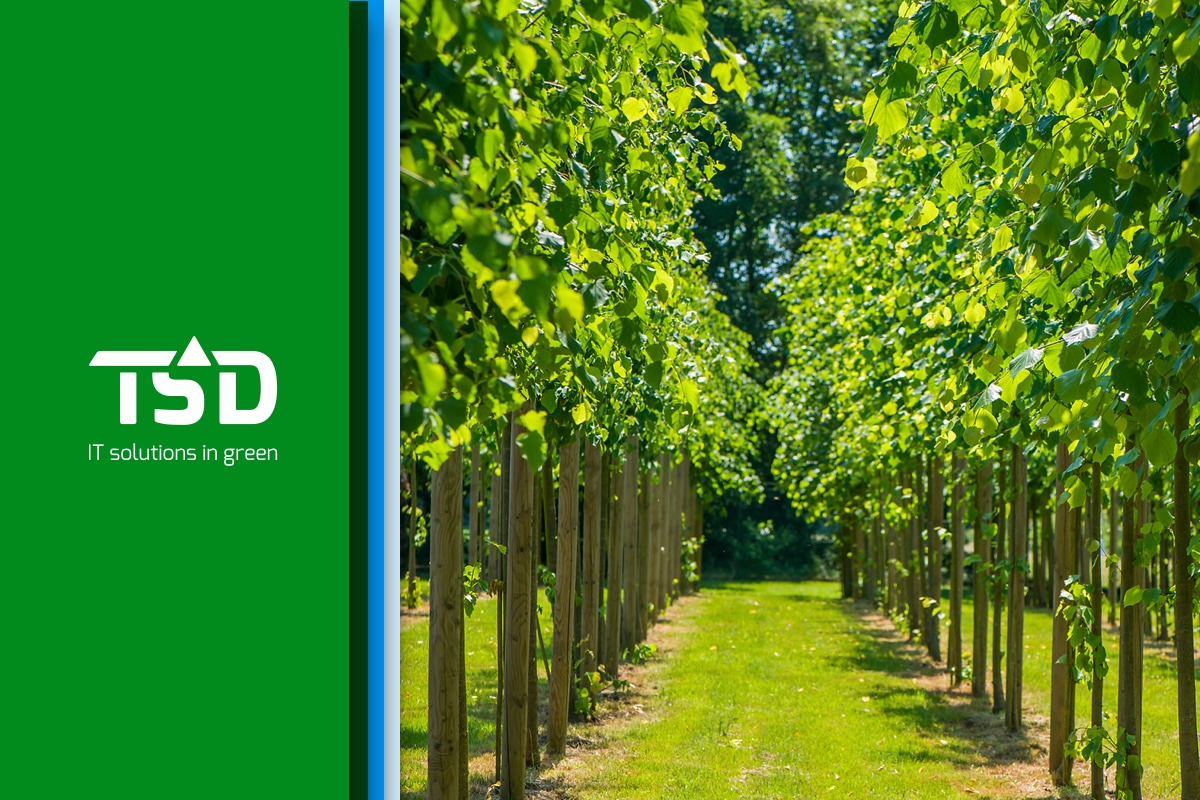 Software for horticultural nurseries • TSD