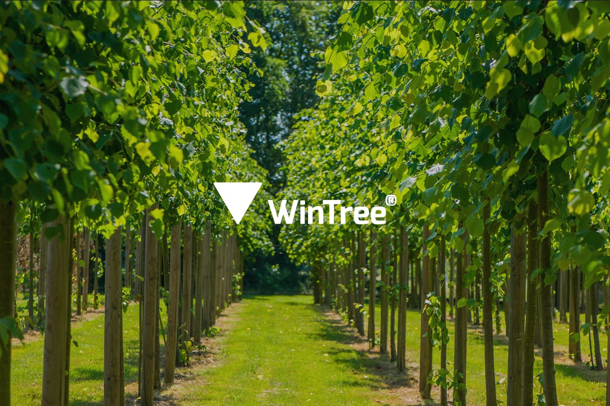 WinTree® CONNECT • TSD